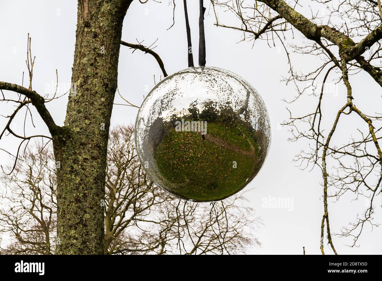 Large mirrorball hanging from a tree, landscape, grey sky Stock Photo ...