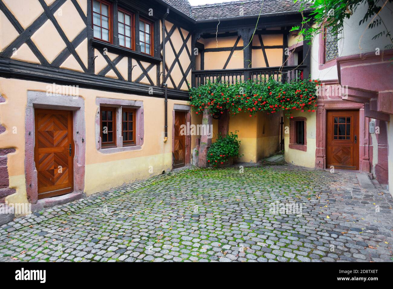 Cobblestone street and colorful medieval village in Alsace region ...