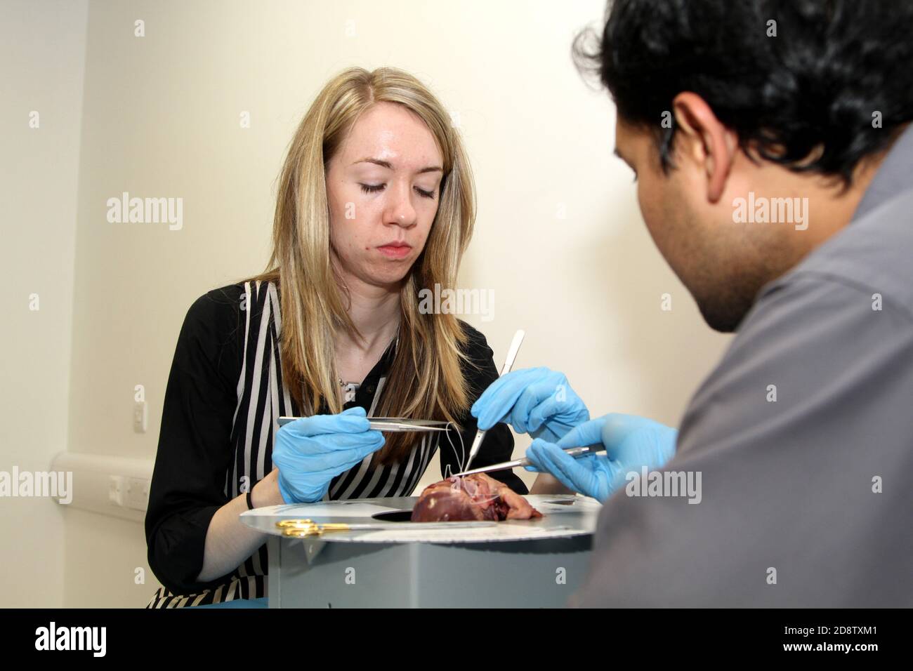 Trainee Surgeons practice thier skills at Golden Jubilee Hospital ...