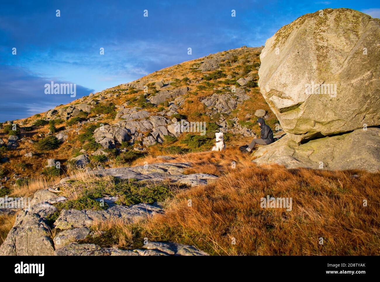 Norway summer fjords overlooking stavanger town and summer cross ...