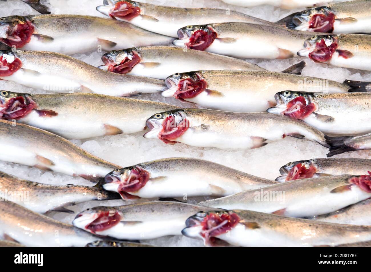 Bluefishes in fish market Stock Photo - Alamy