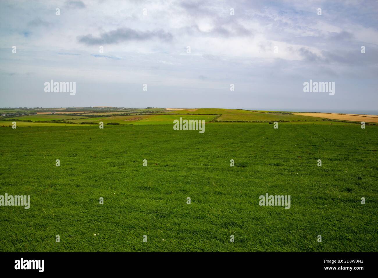 A green grass landscape in Ireland Stock Photo - Alamy