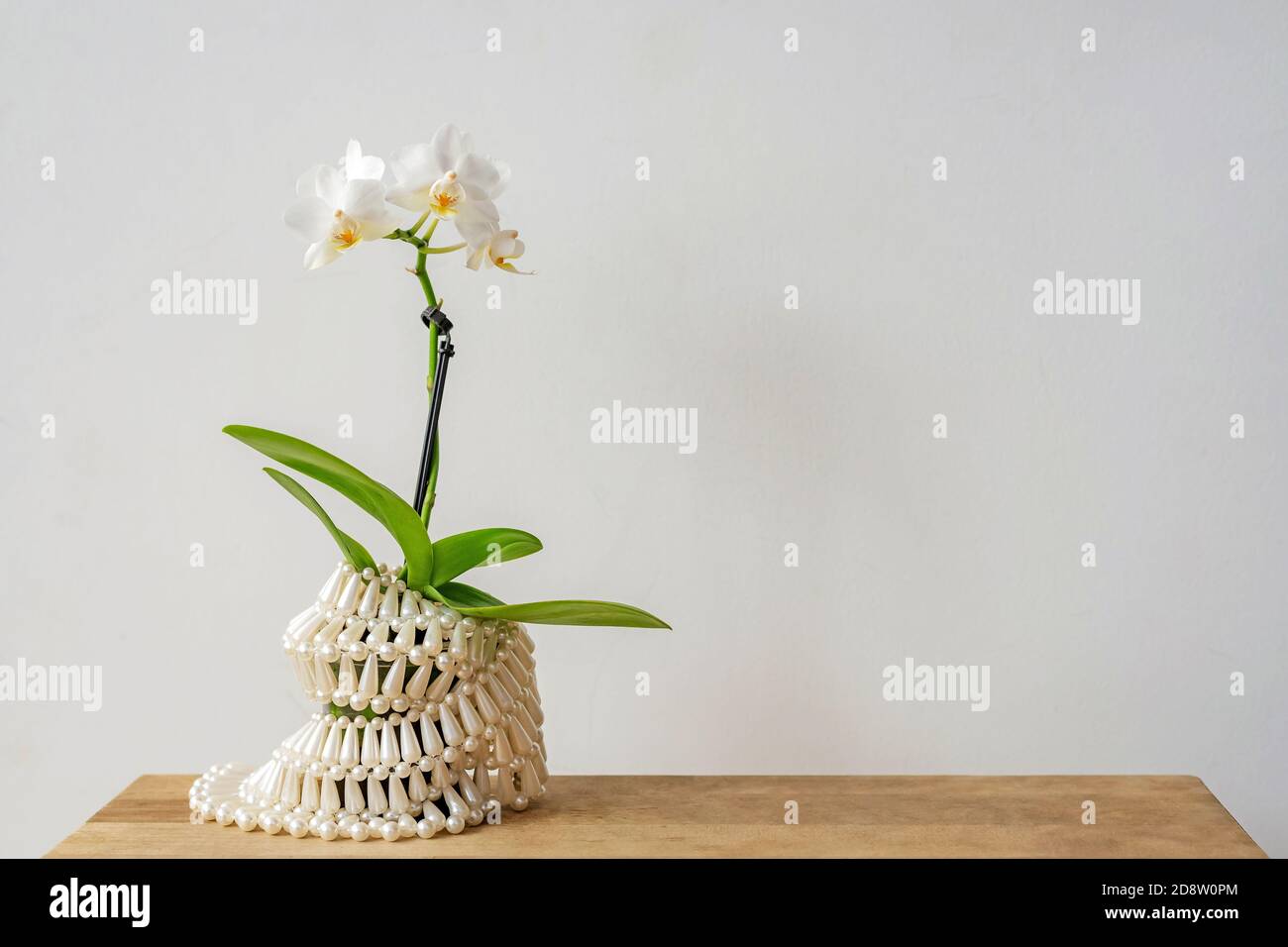 Amazing orchid plant stands on wooden table near white wall Stock Photo ...
