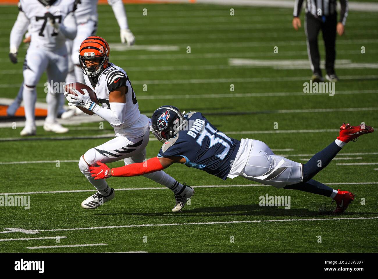 Adam byard hi-res stock photography and images - Alamy