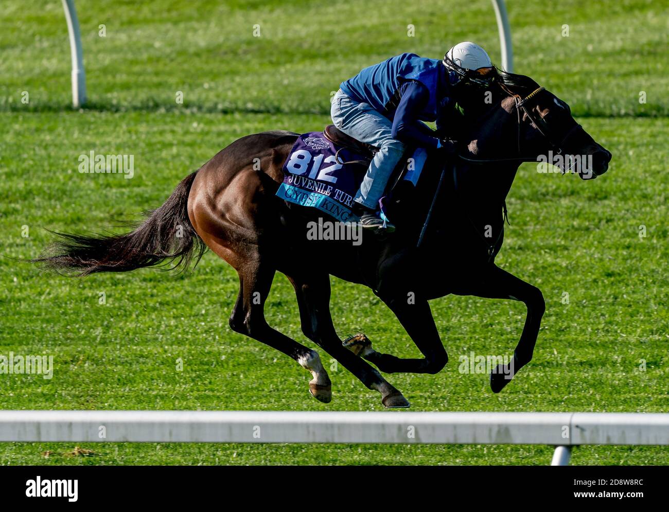 Gypsy king hi-res stock photography and images - Alamy