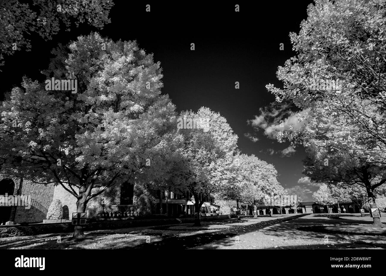 2020 27 jpg Black and White Stock Photos & Images - Alamy