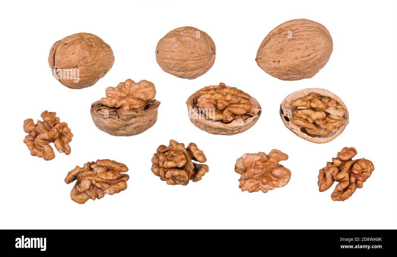 Set of wallnuts in different stages of cracking isolated on a white ...
