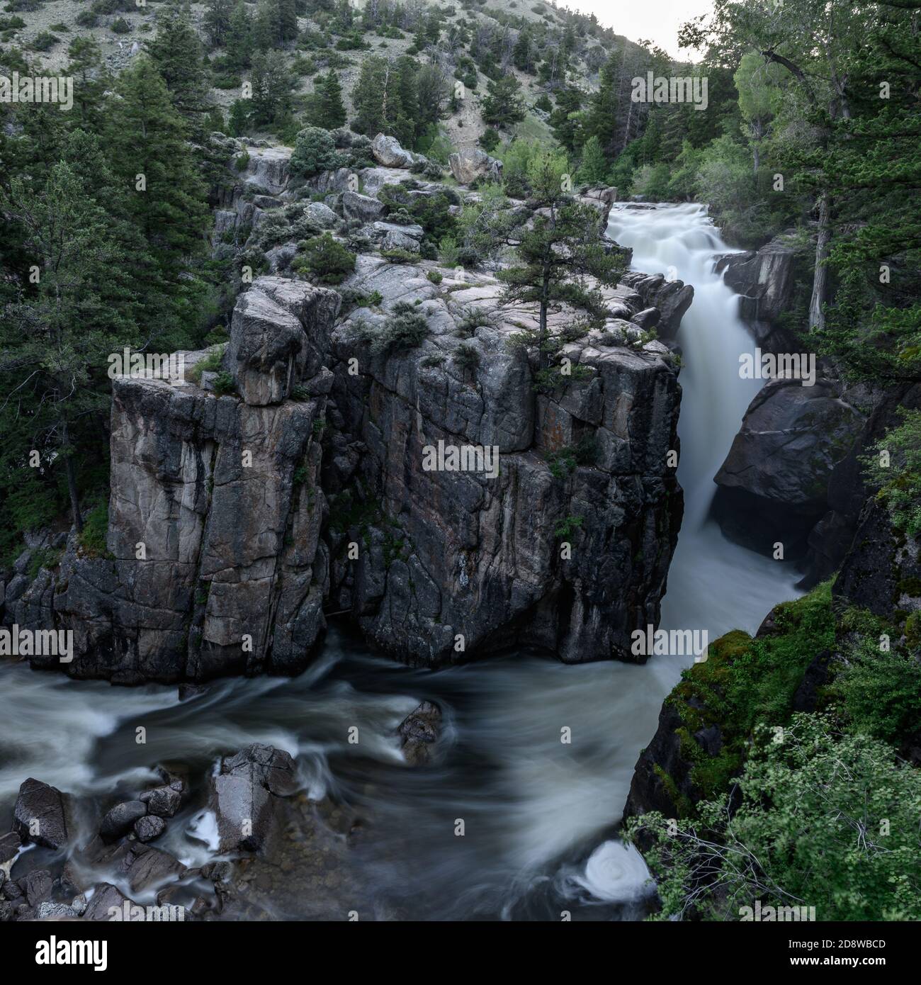 Shell Creek Falls in Wyoming mountains in summer Stock Photo - Alamy