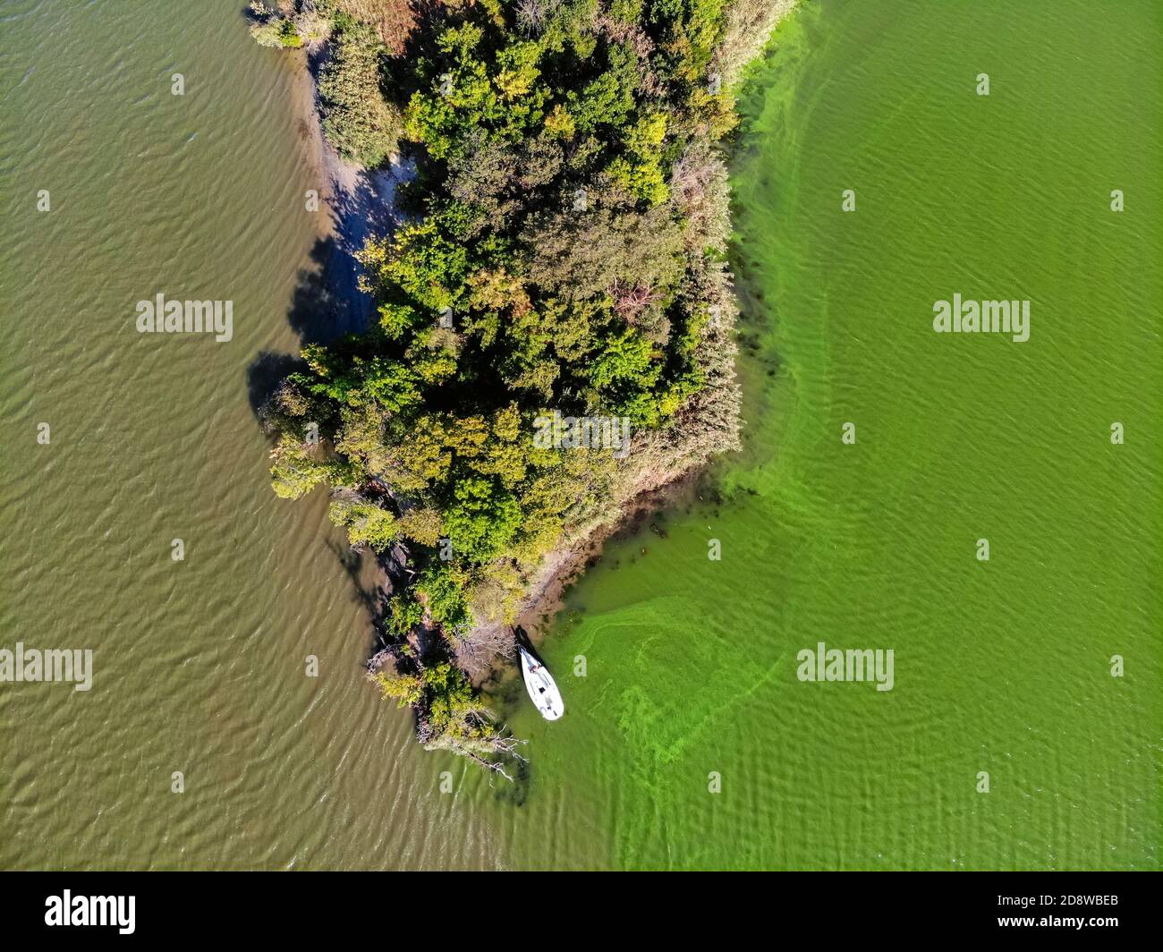 Aerial view of steppe and upper river Don in Russia. Beautiful summer ...