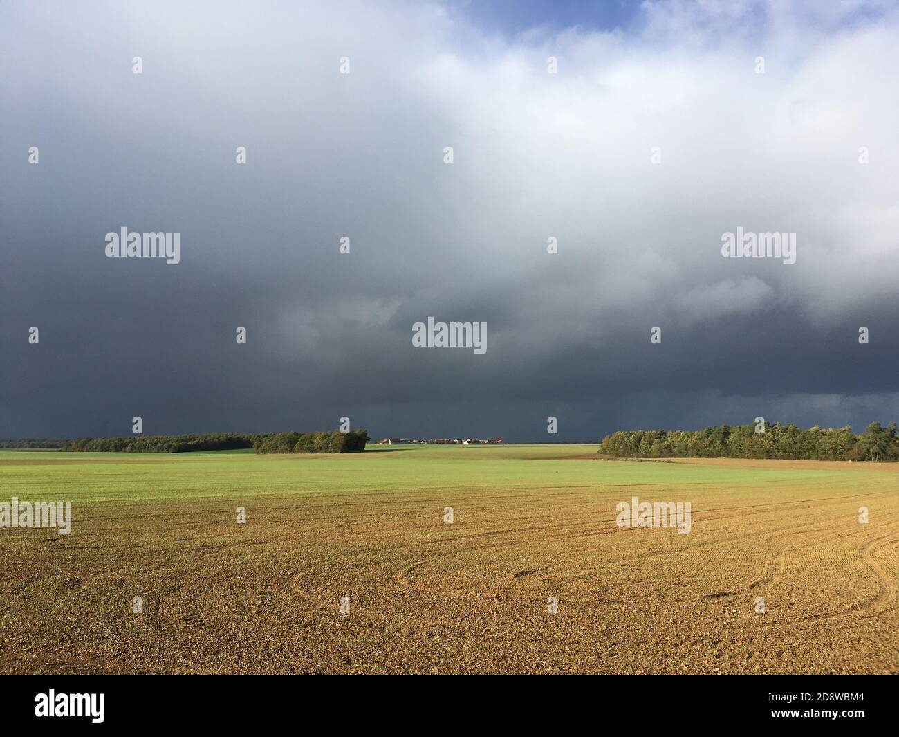 Landscape with threatening weater on gold color field with rainy grey ...