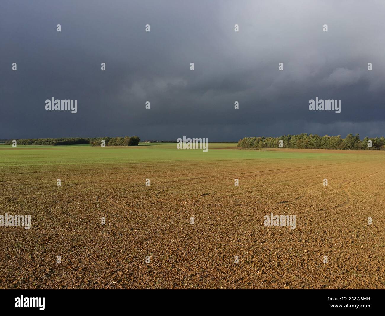 Landscape with threatening weater on gold color field with rainy grey ...