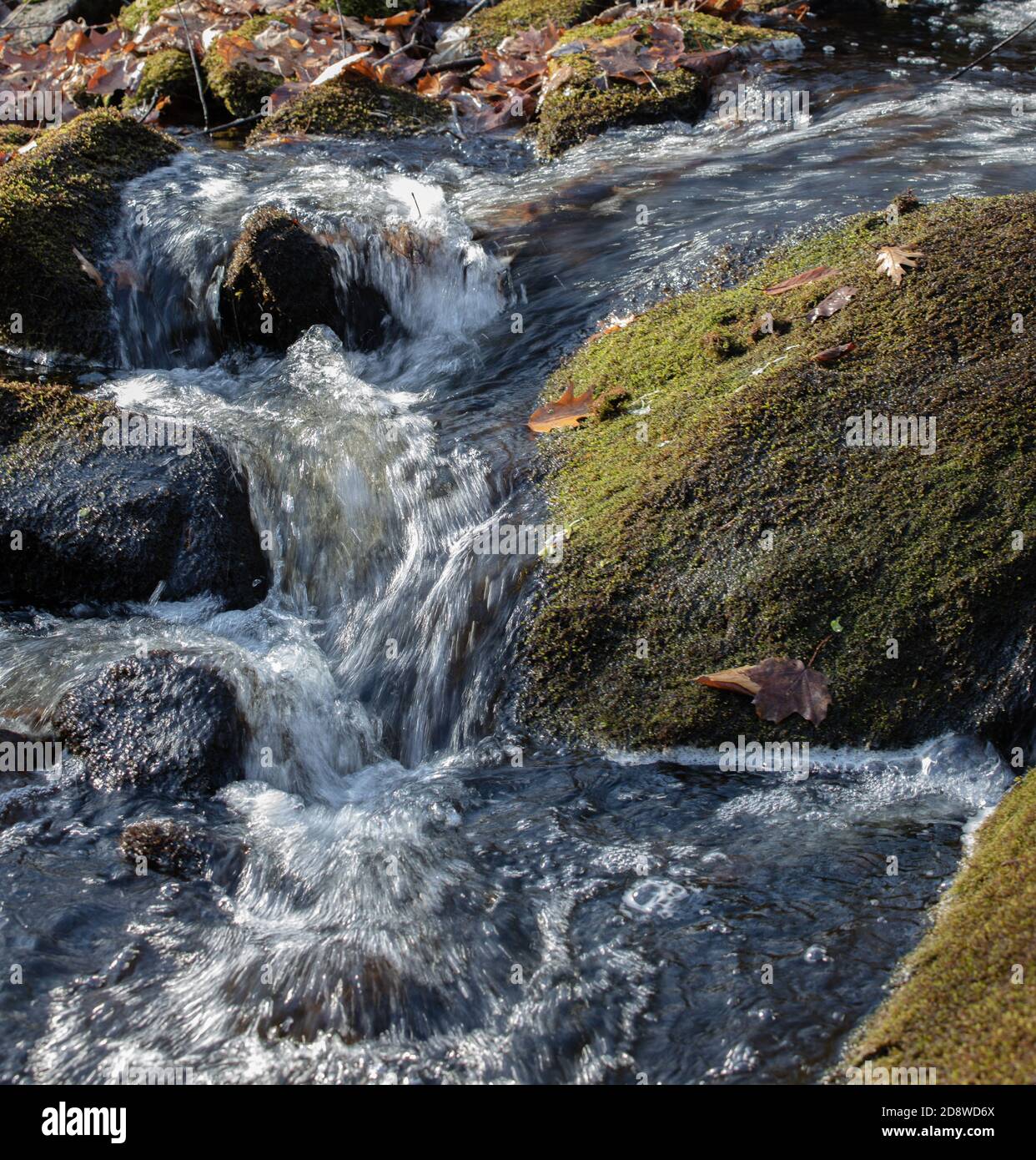 Water cascading over rocks in a forest stream in autumn Stock Photo - Alamy