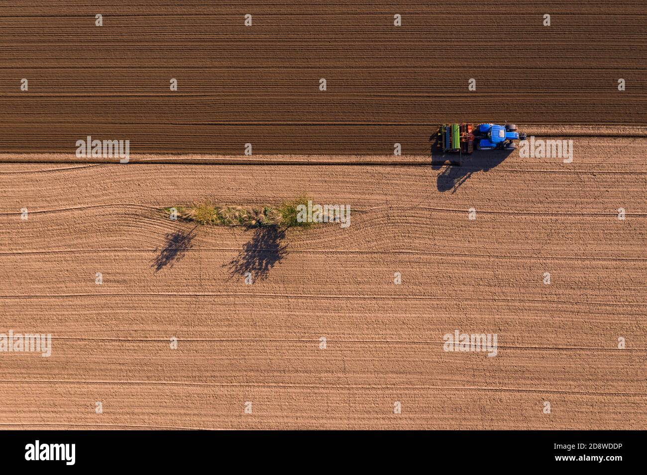 Strips field hi-res stock photography and images - Alamy