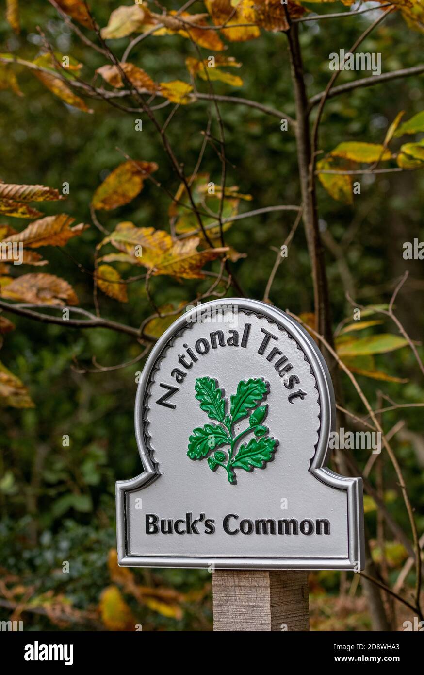 Common names label hi-res stock photography and images - Alamy