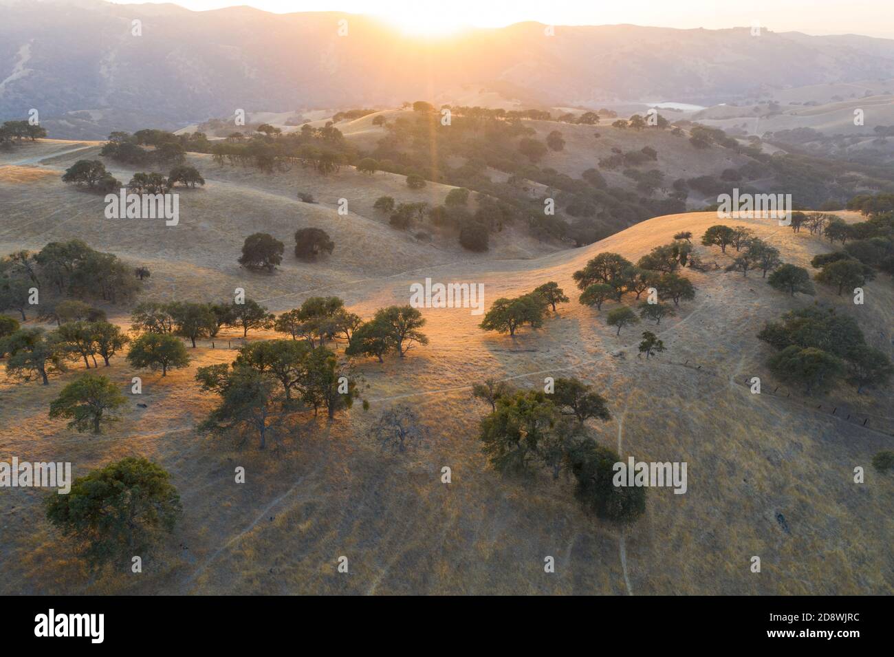 Golden hills hi-res stock photography and images - Alamy