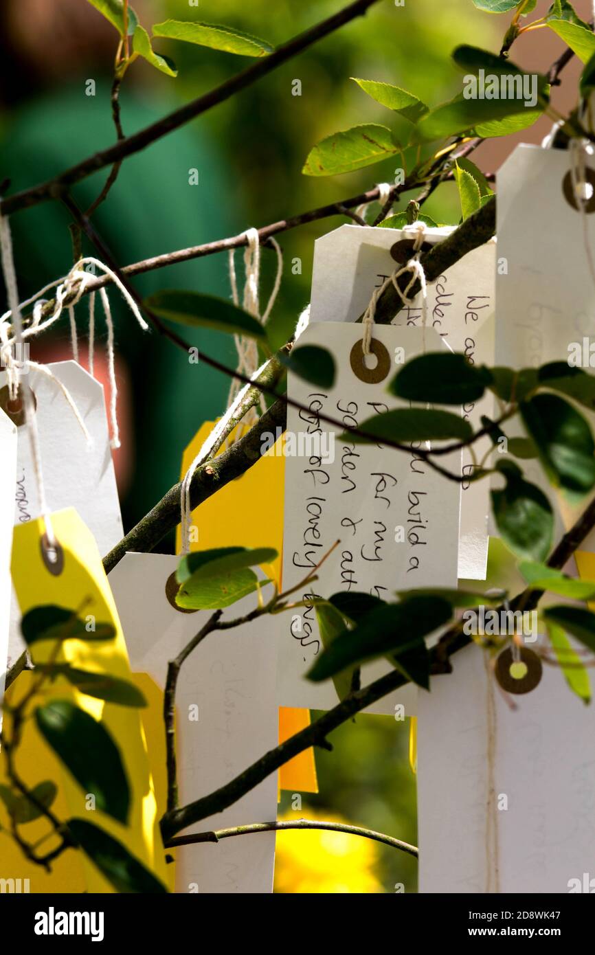 Selflessness High Resolution Stock Photography and Images - Alamy