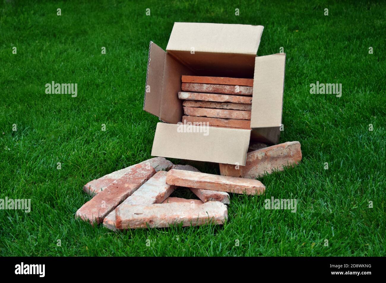 Cut red bricks range prepared to use in cardboard box Stock Photo - Alamy