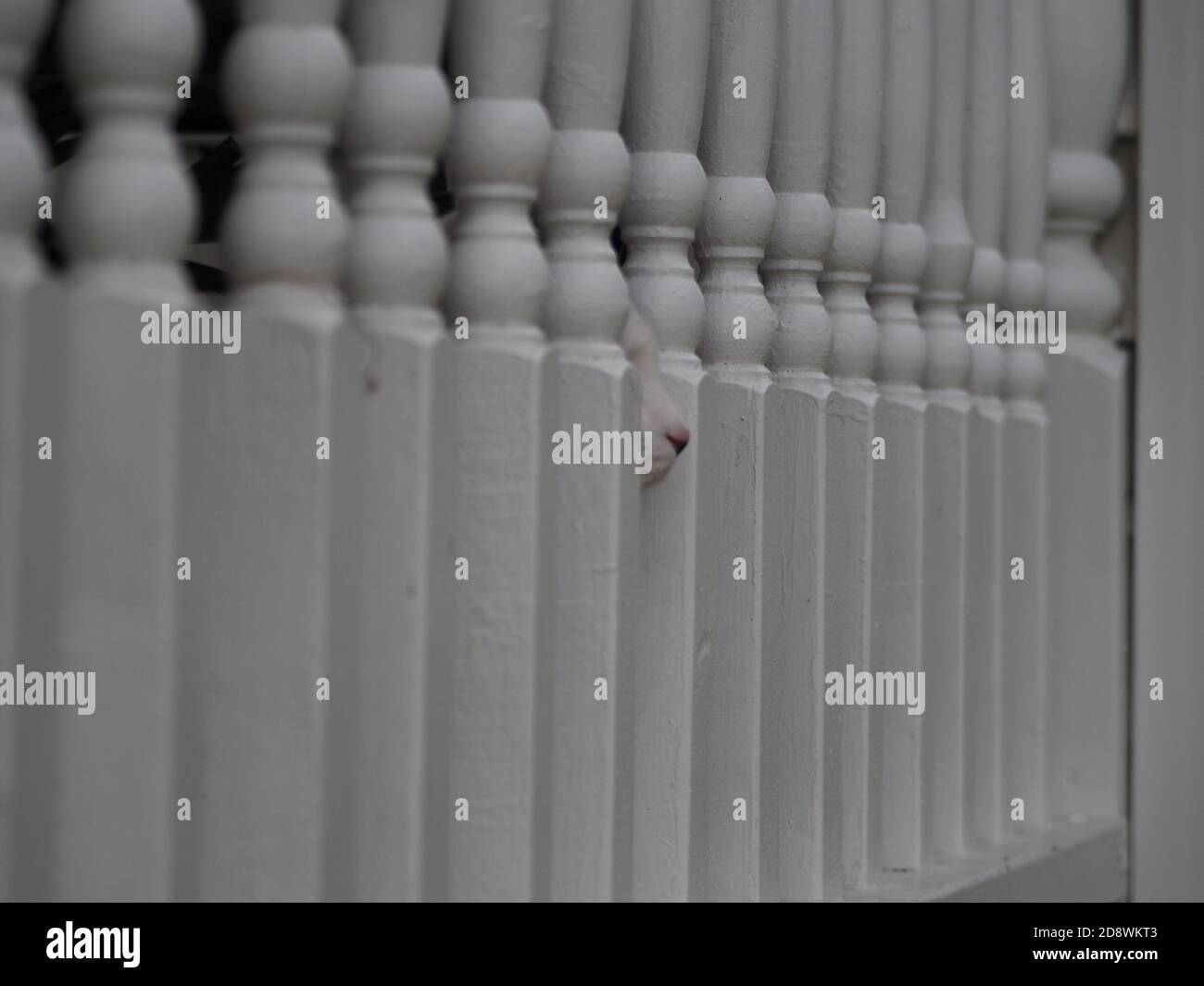 White railing hi-res stock photography and images - Alamy