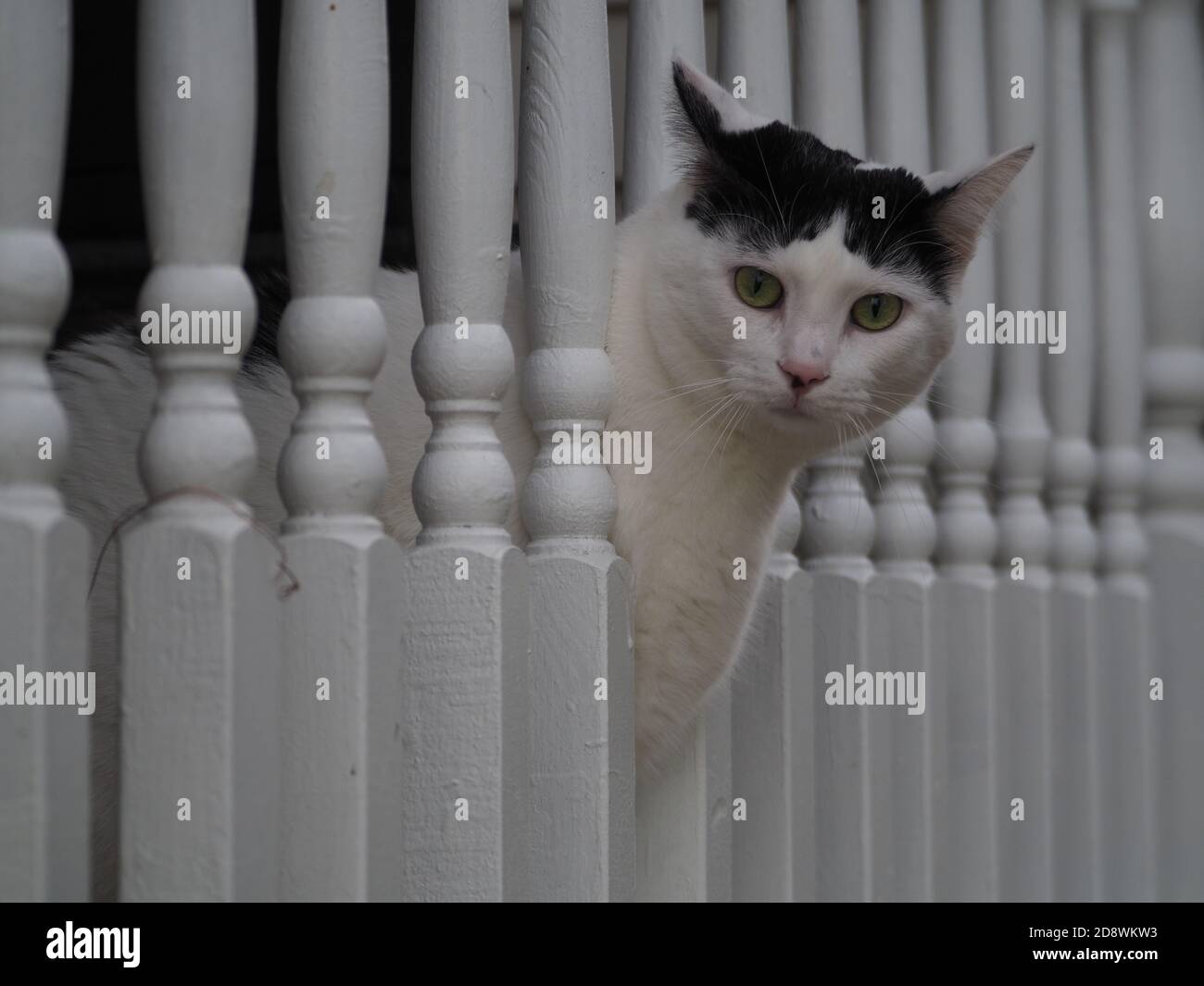 White railing hi-res stock photography and images - Alamy