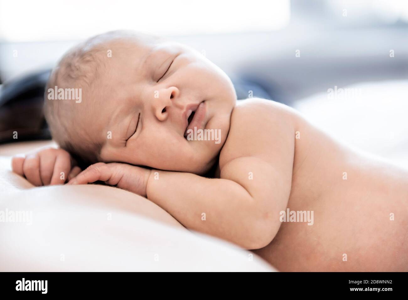 A newborn baby laying down sleeping on the father back Stock Photo - Alamy