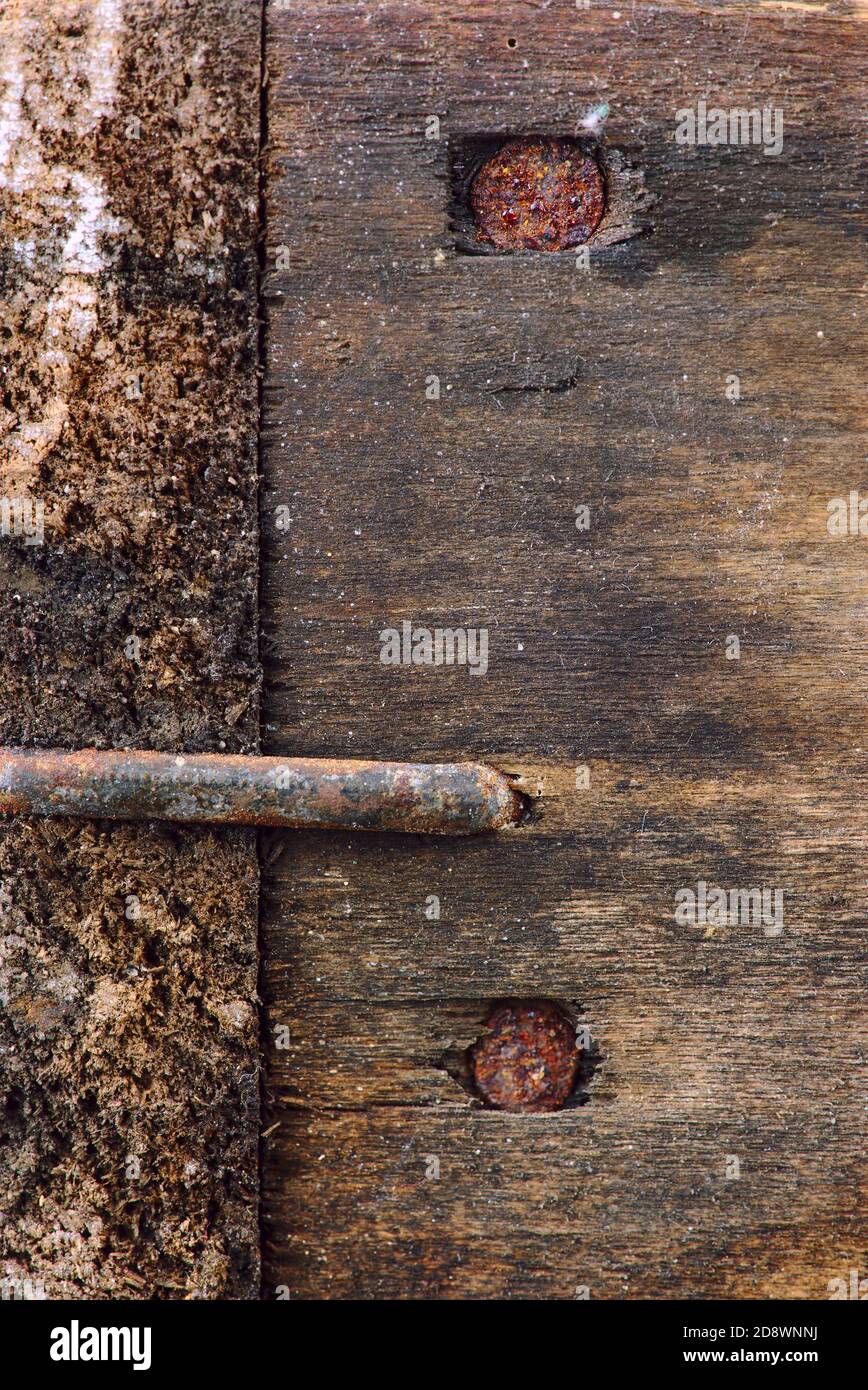 Old worn wood texture and rusty nails Stock Photo - Alamy