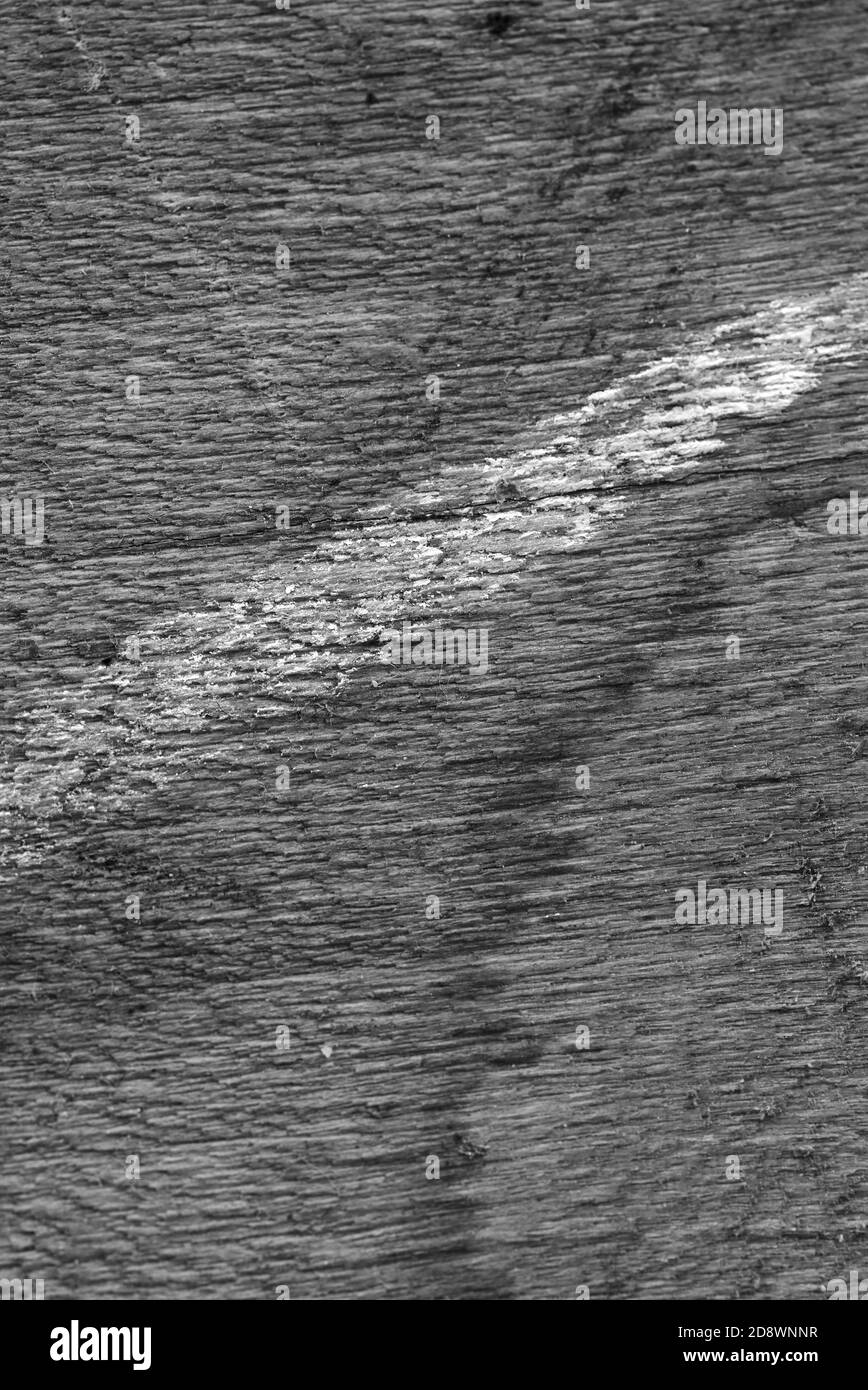 Old worn wood texture and ribs in black and white Stock Photo - Alamy