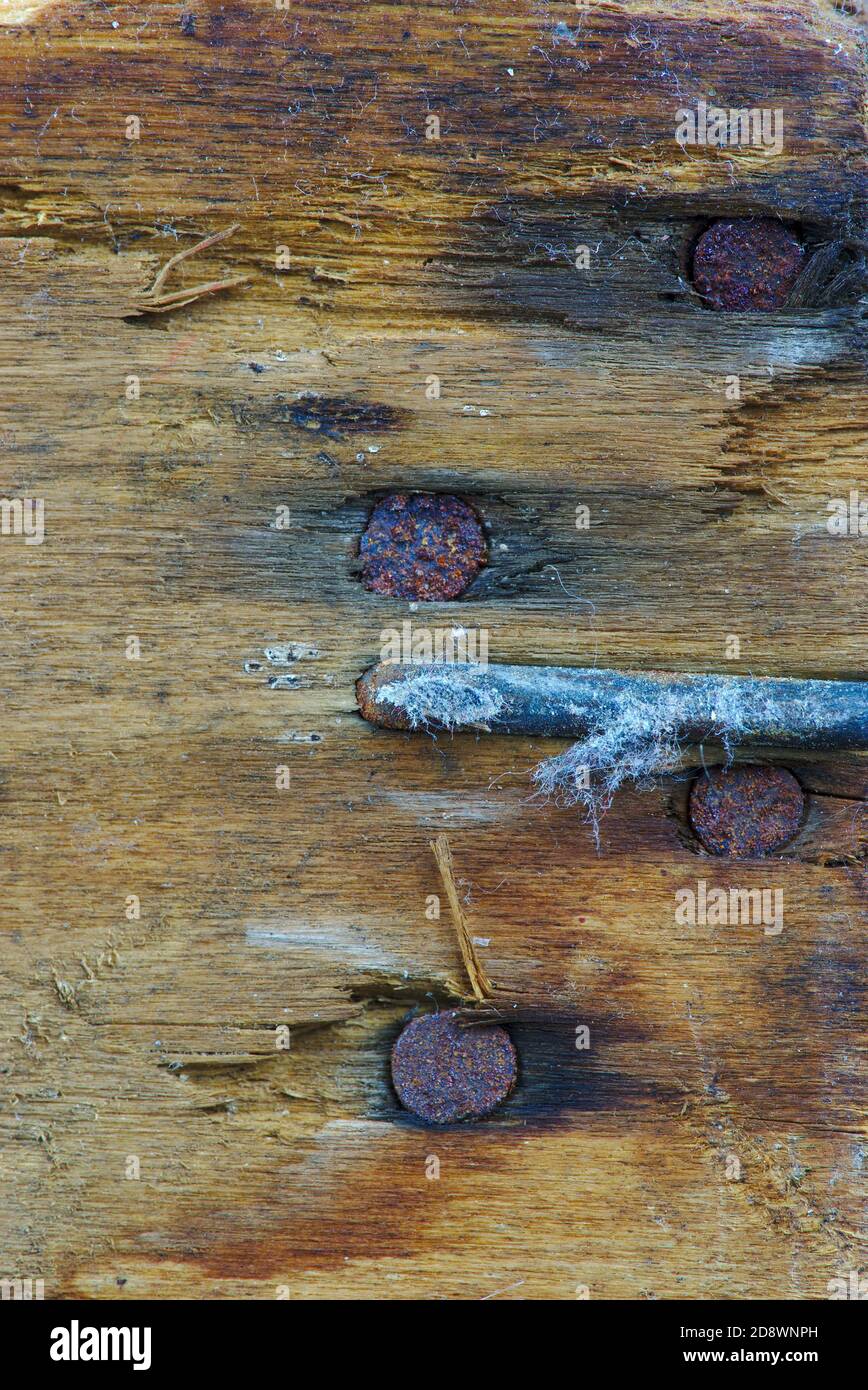 Old worn wood texture and rusty nails Stock Photo - Alamy