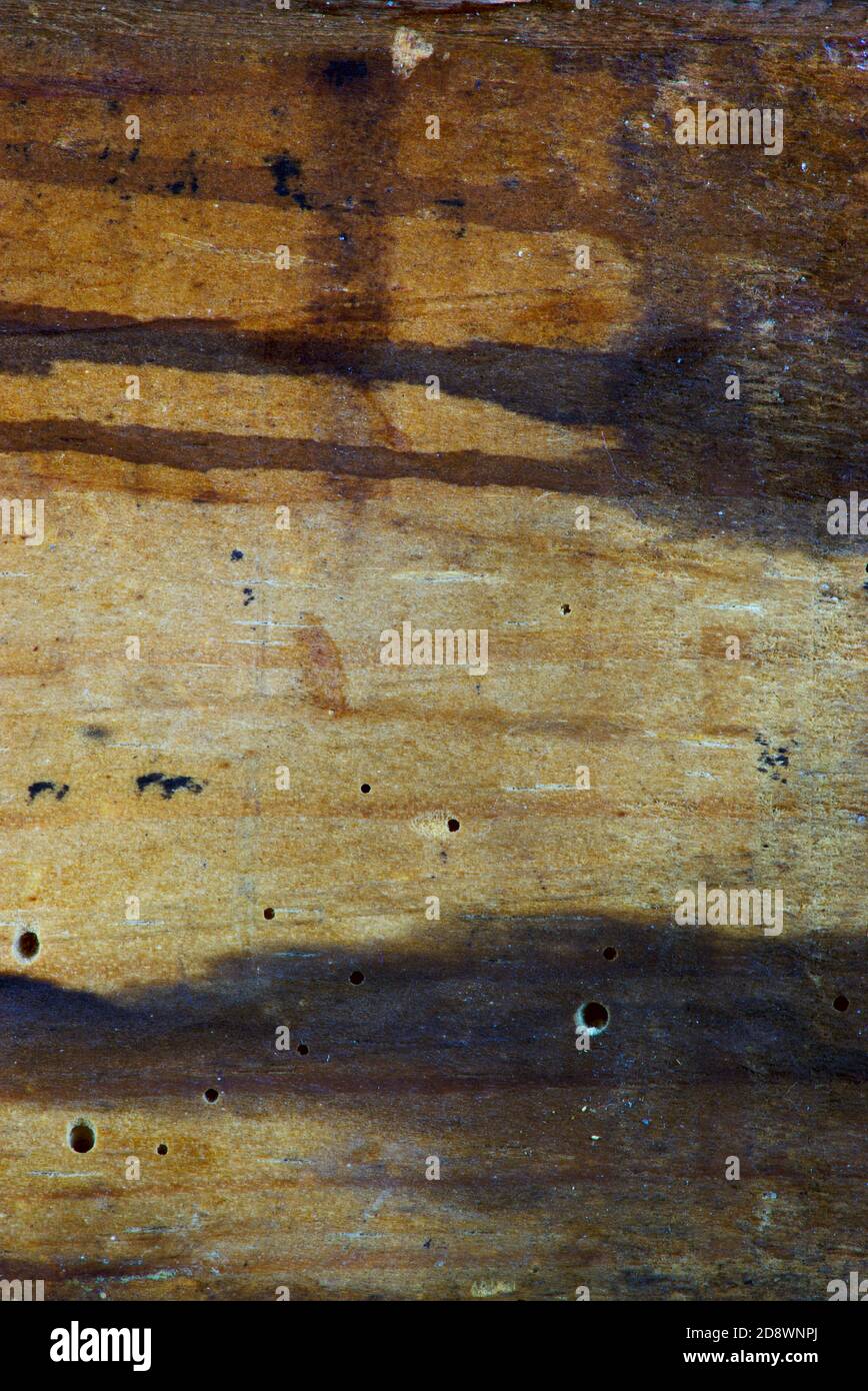 Old worn wood texture and ribs Stock Photo - Alamy
