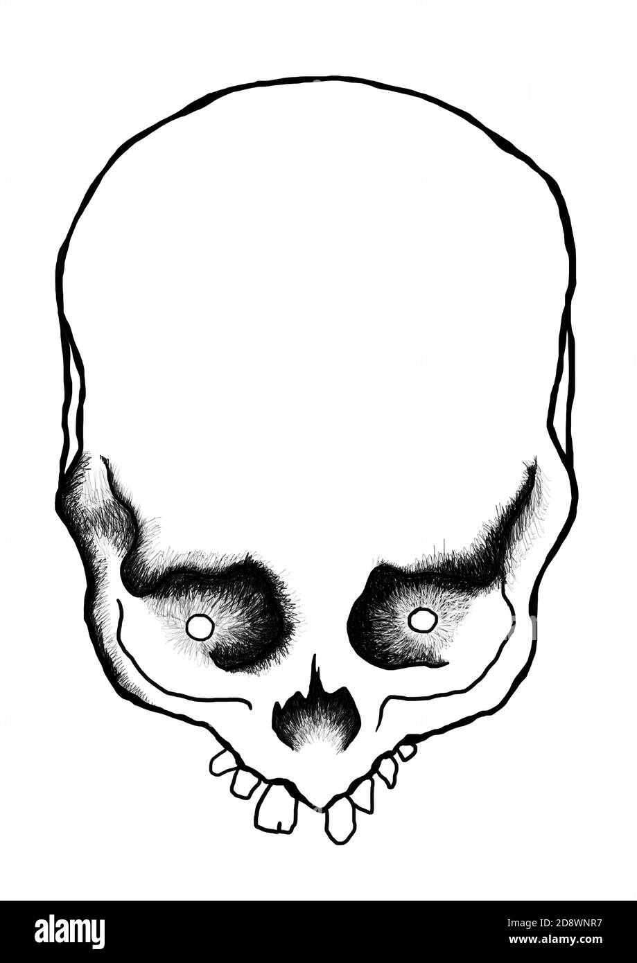 Human skull drawn in hi-res stock photography and images - Alamy