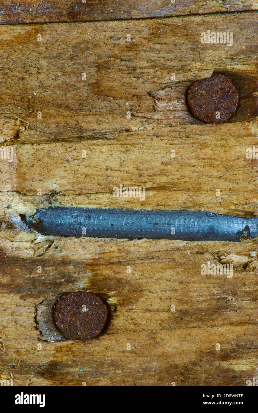 Old wood plank with nails hi-res stock photography and images - Alamy