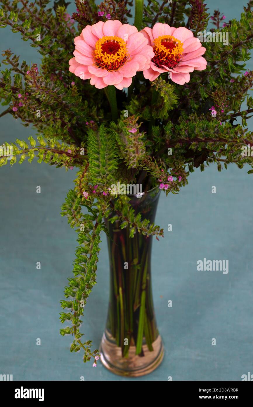 A floral arrangement with pink zinnia flowers and spikes of purple ...