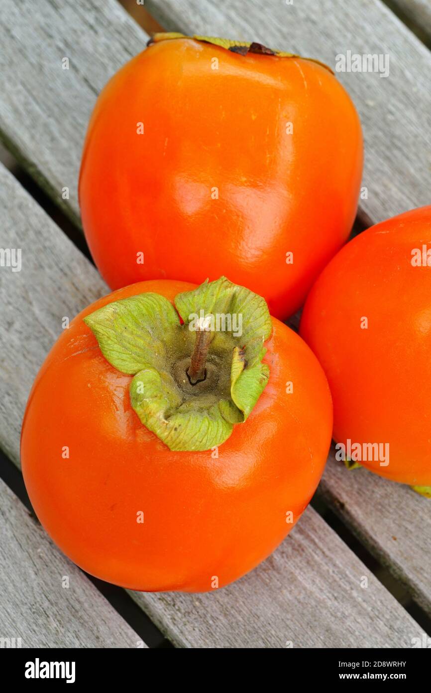 Hachiya persimmon fruit hi-res stock photography and images - Alamy