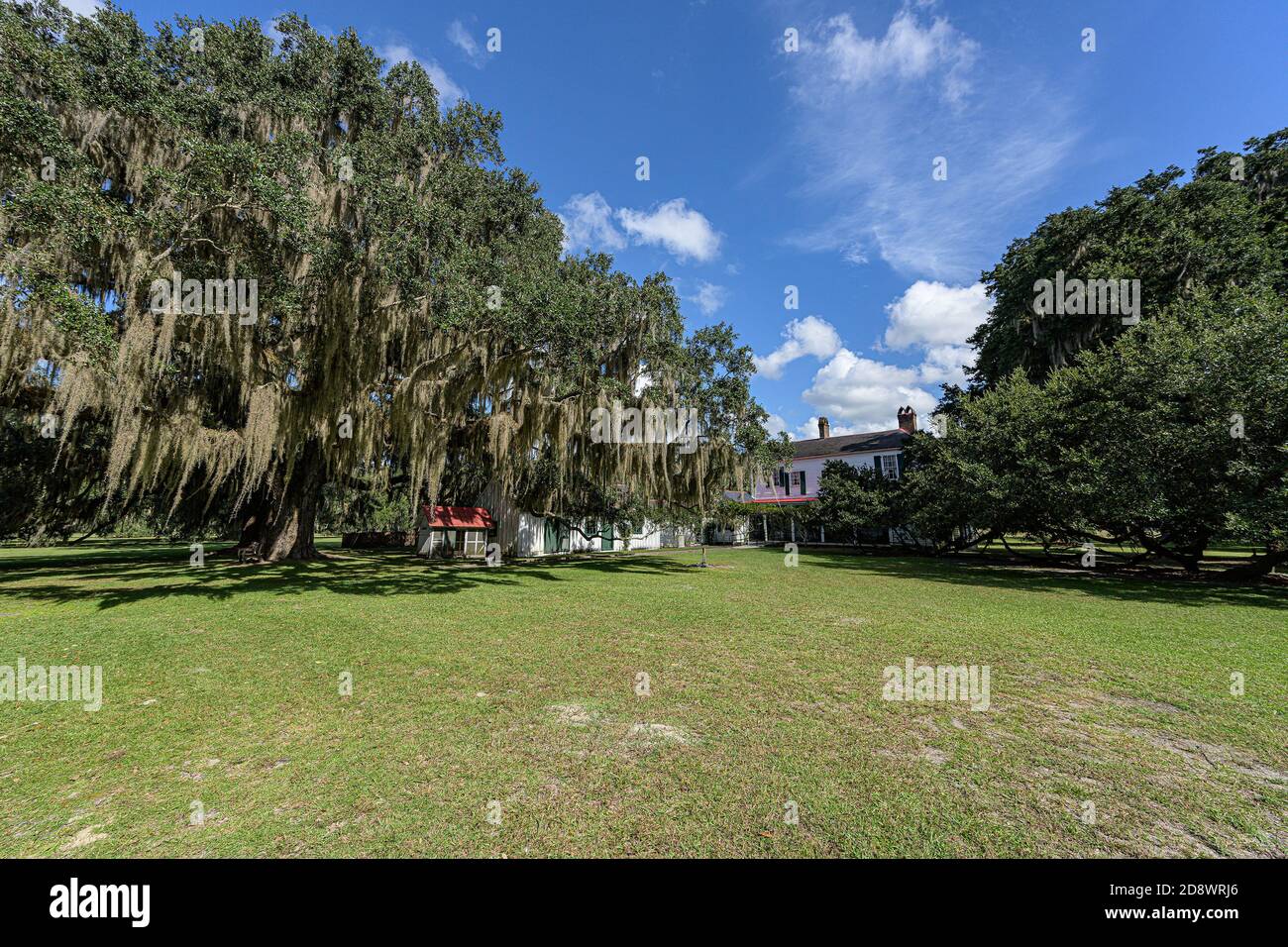 1800s southern plantation hi-res stock photography and images - Alamy