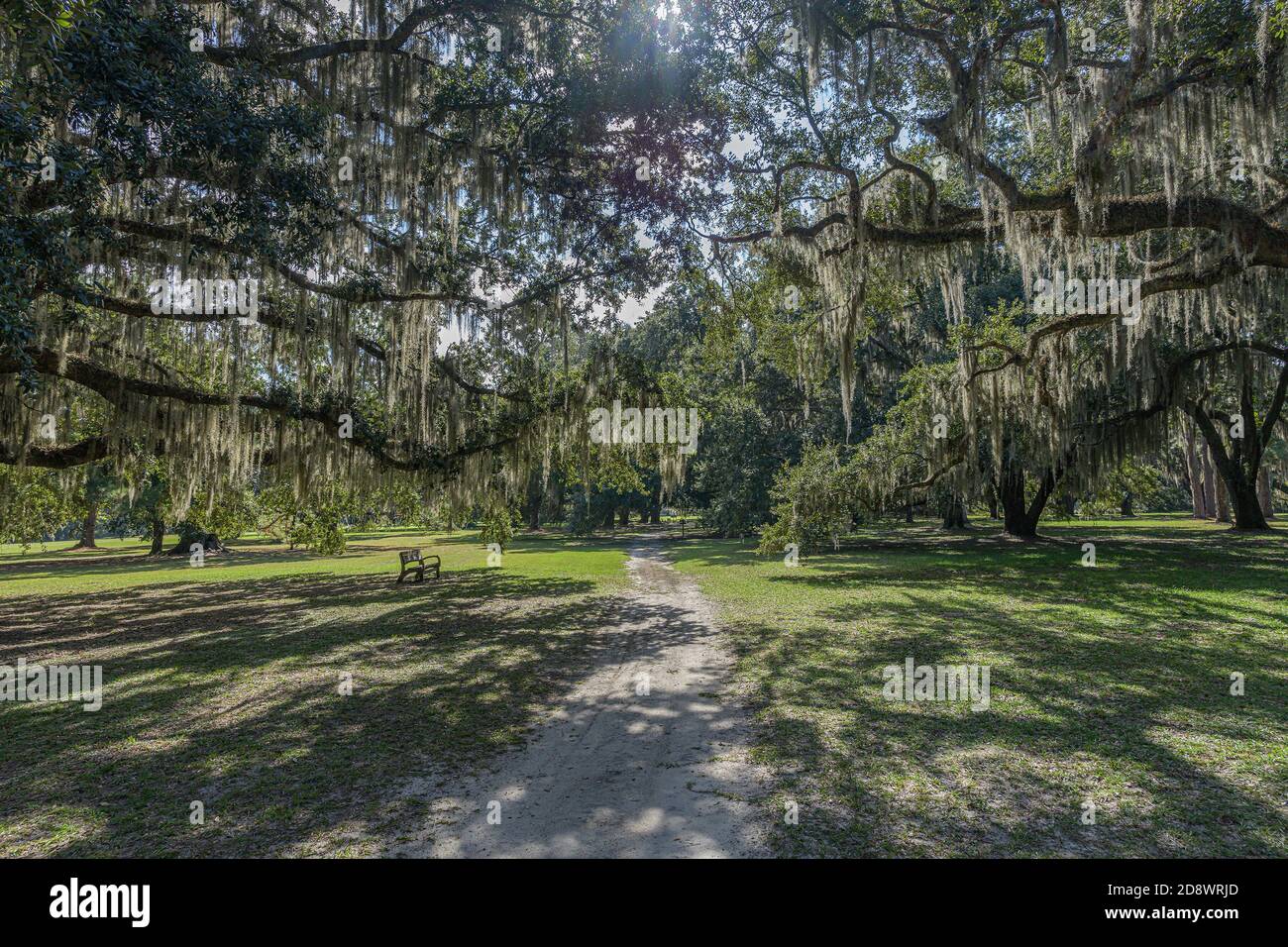 1800s southern plantation hi-res stock photography and images - Alamy