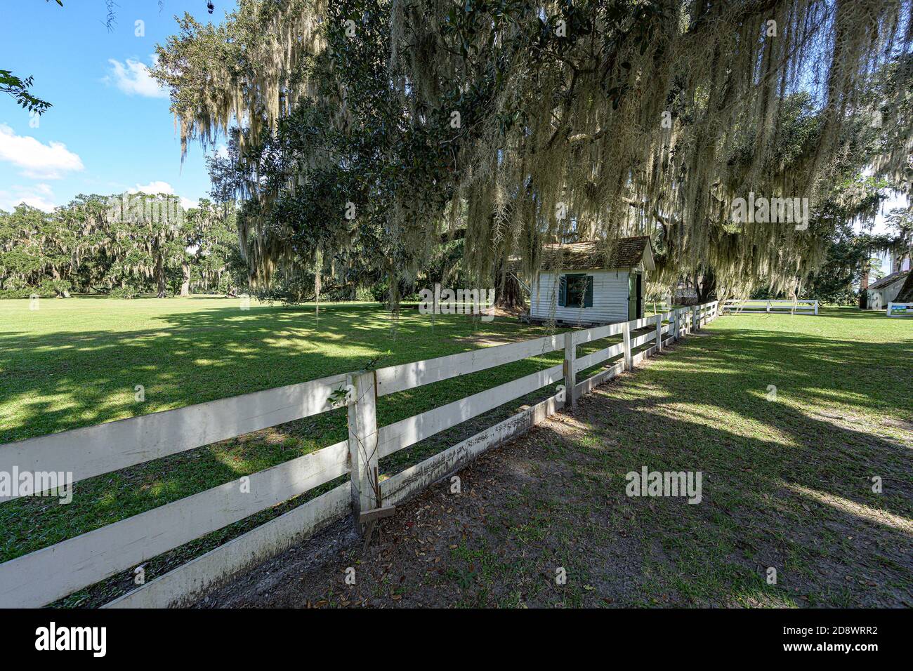 Rice Plantation Hofwyl-Broadfield Plantation Stock Photo - Alamy
