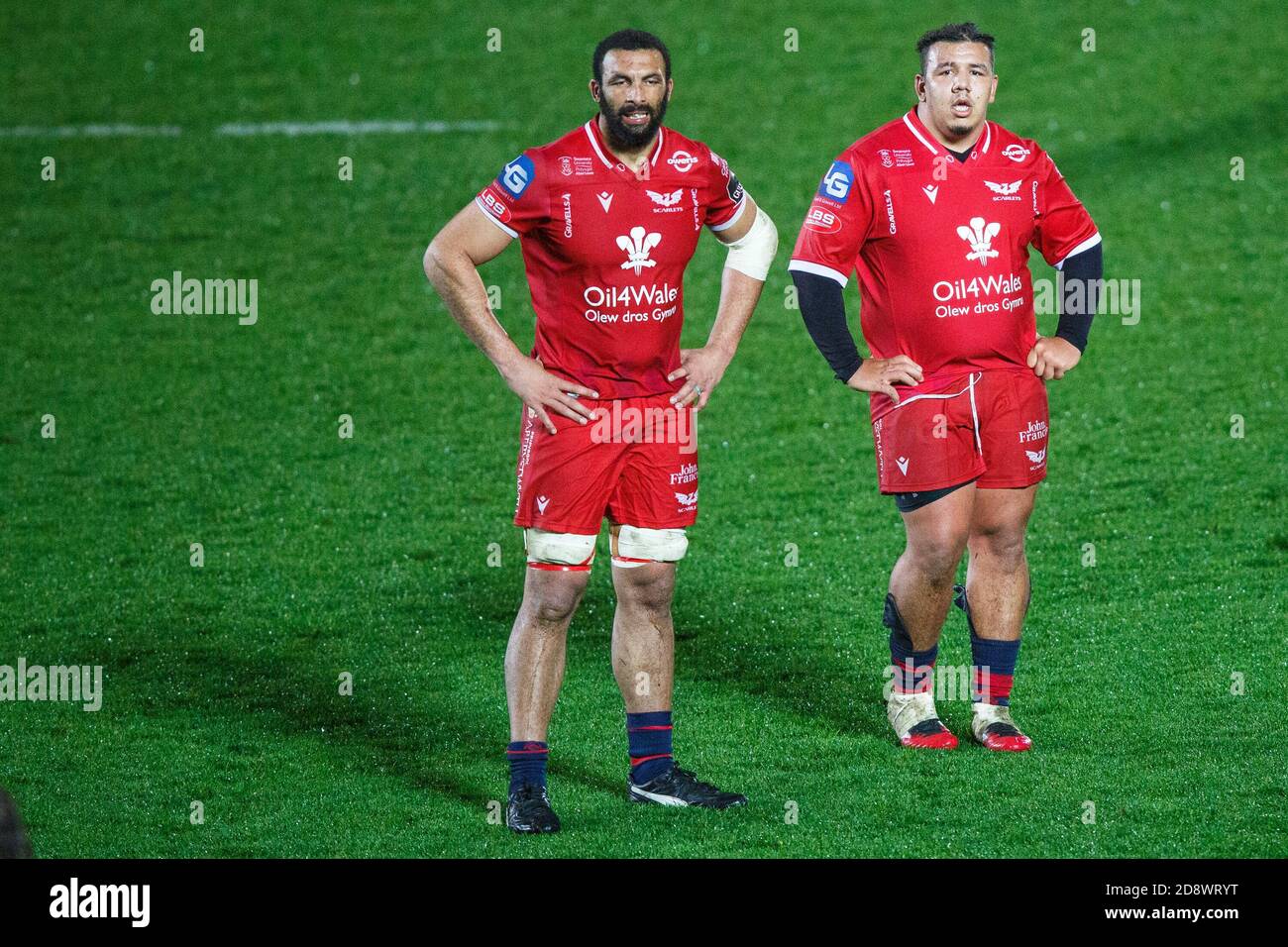 Javan sebastian hi-res stock photography and images - Alamy