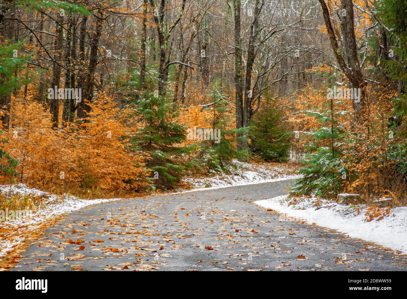 Pocono plateau hi-res stock photography and images - Alamy