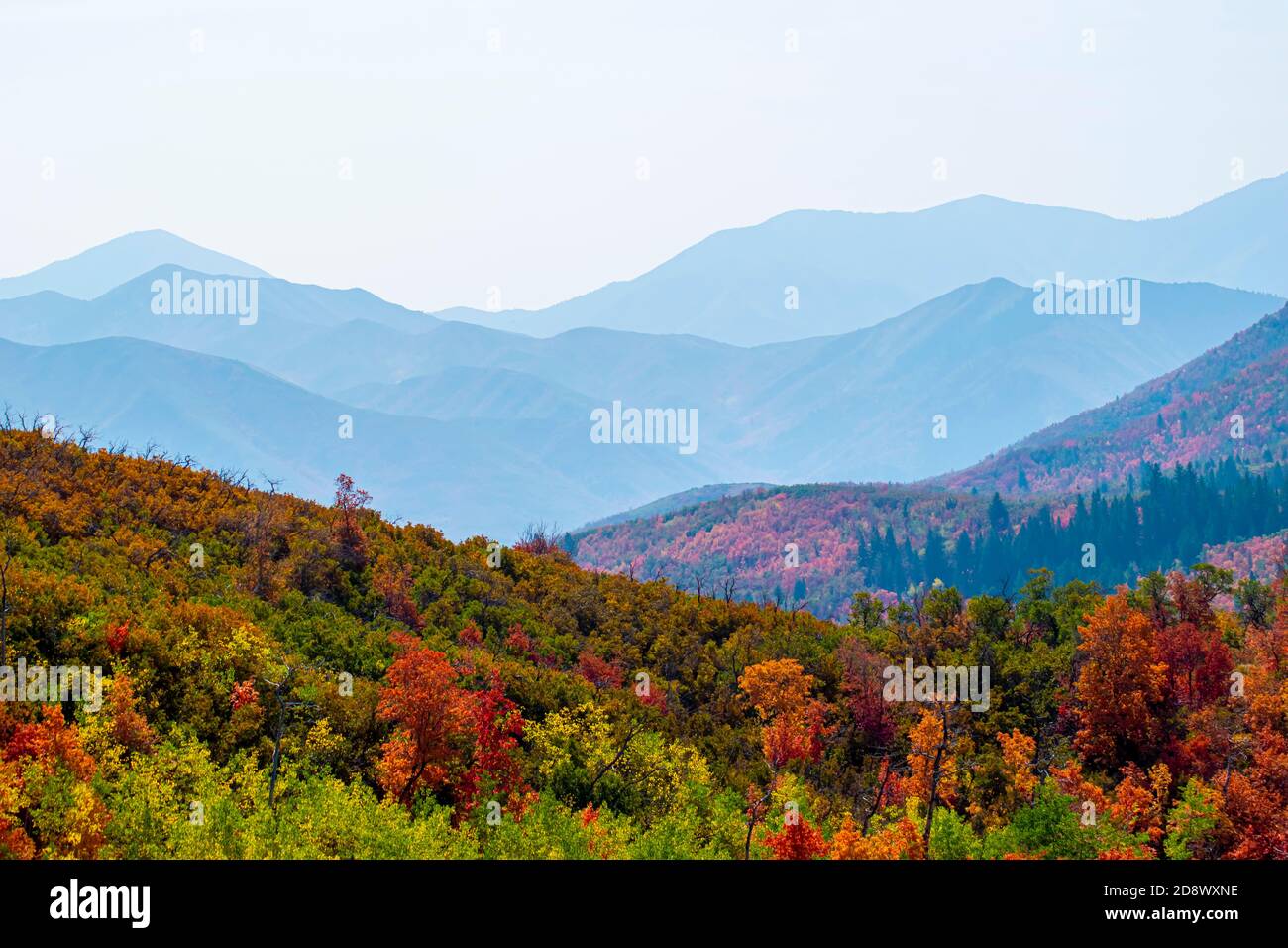 Alpine scenic loop hi-res stock photography and images - Alamy