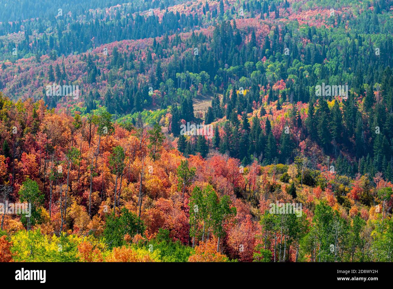 Alpine scenic loop hi-res stock photography and images - Alamy