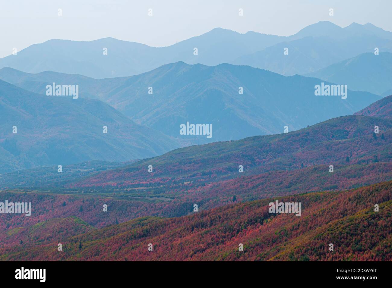 photo of Fall, Autumn colors. Alpine loop scenic drive, UT, USA Stock ...