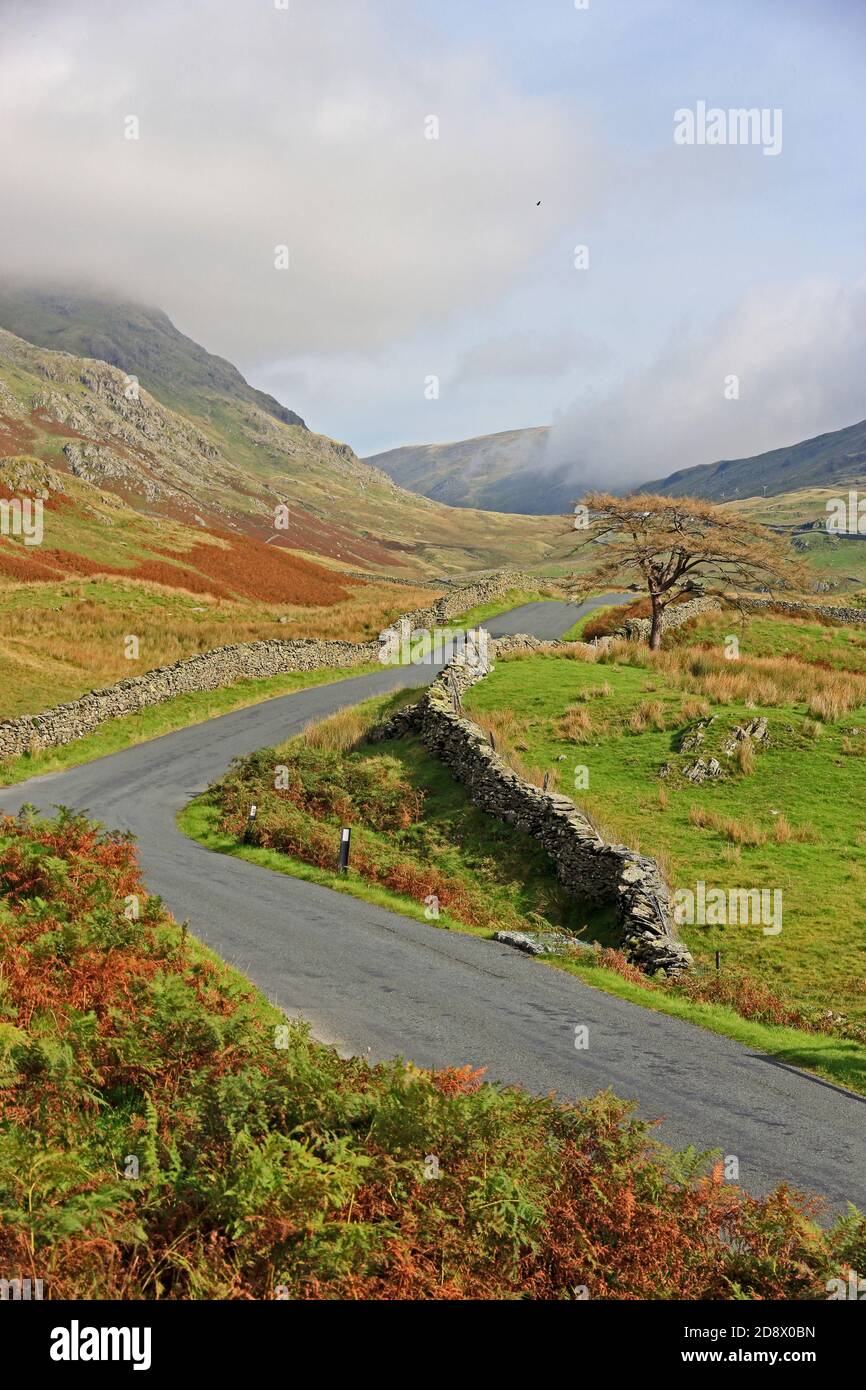 Pass the tree hi-res stock photography and images - Alamy