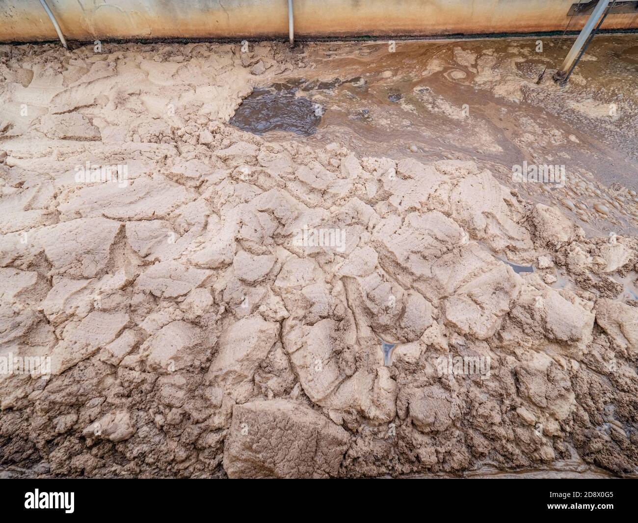 Detail of foam in huge concrete circular sedimentation tank Water ...