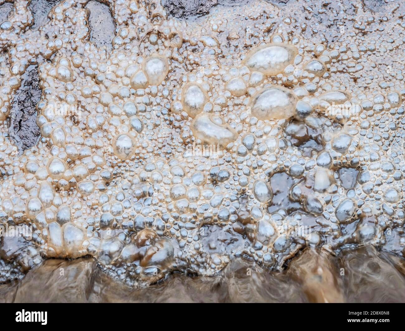 Rest methane and air create thick brown foam on the sediment tank in ...