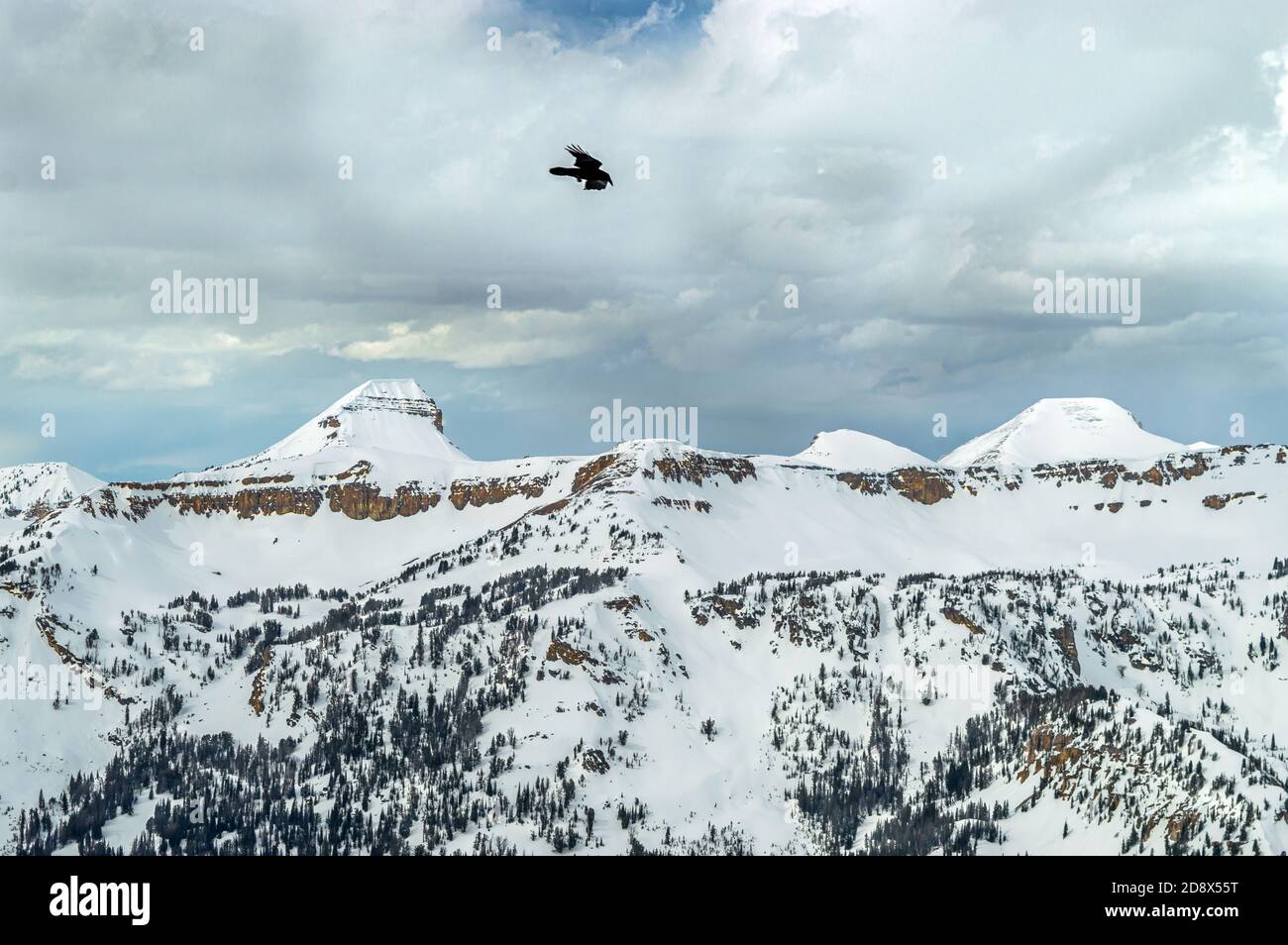 Jackson hole ski resort hi-res stock photography and images - Alamy