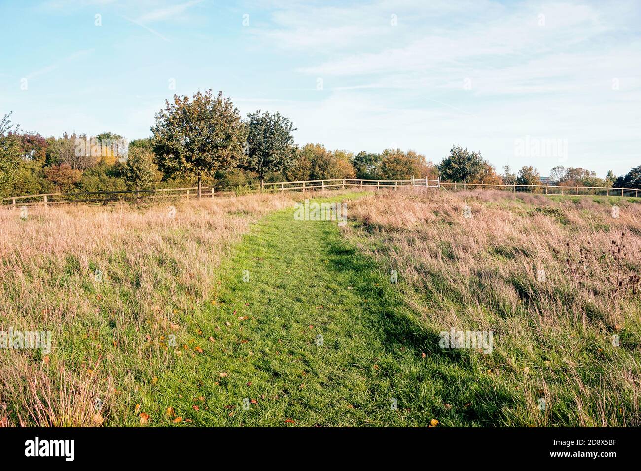 green grass field in Mudchute Park and Farm Stock Photo - Alamy