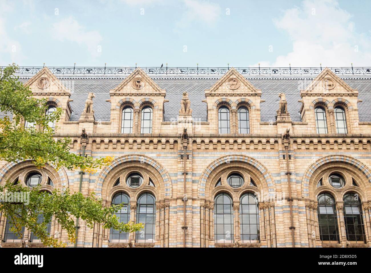Exterior facade of Natural history Museum building in London Stock ...