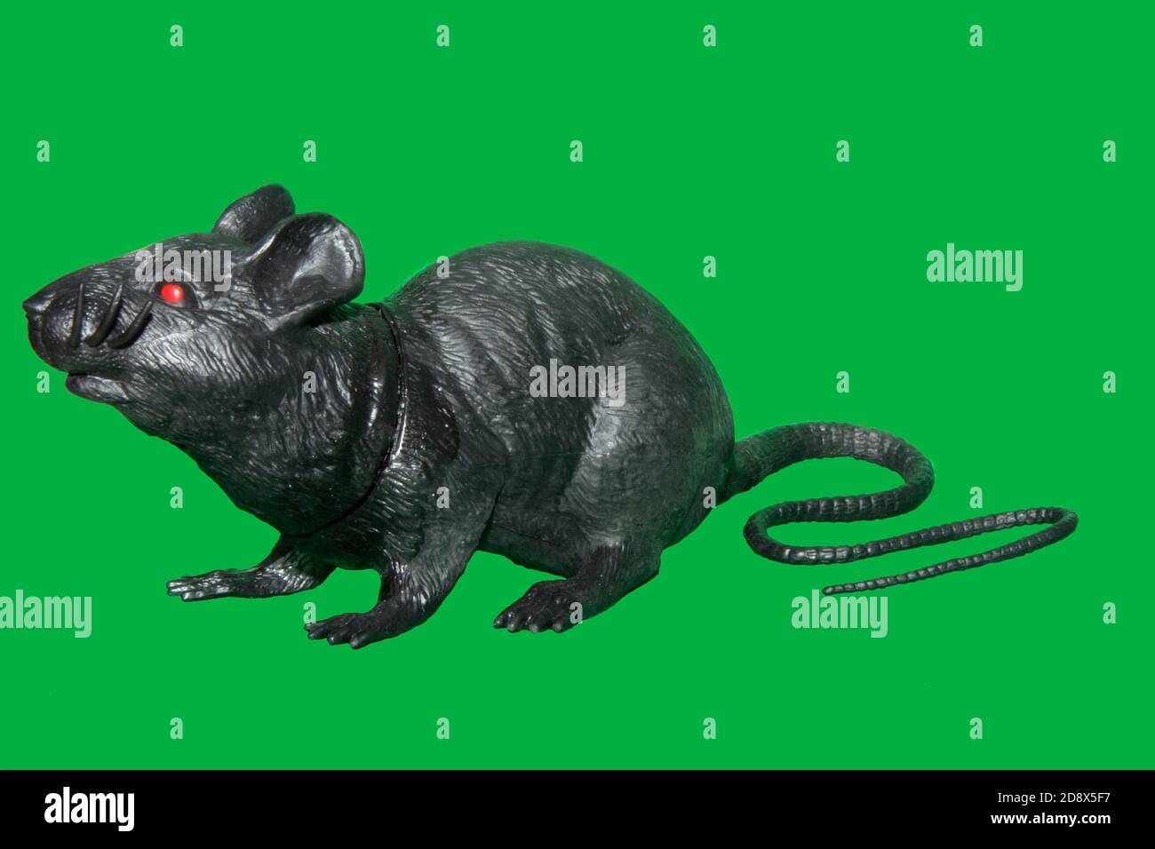 A plastic rat standing on all fours with a green screen background ...