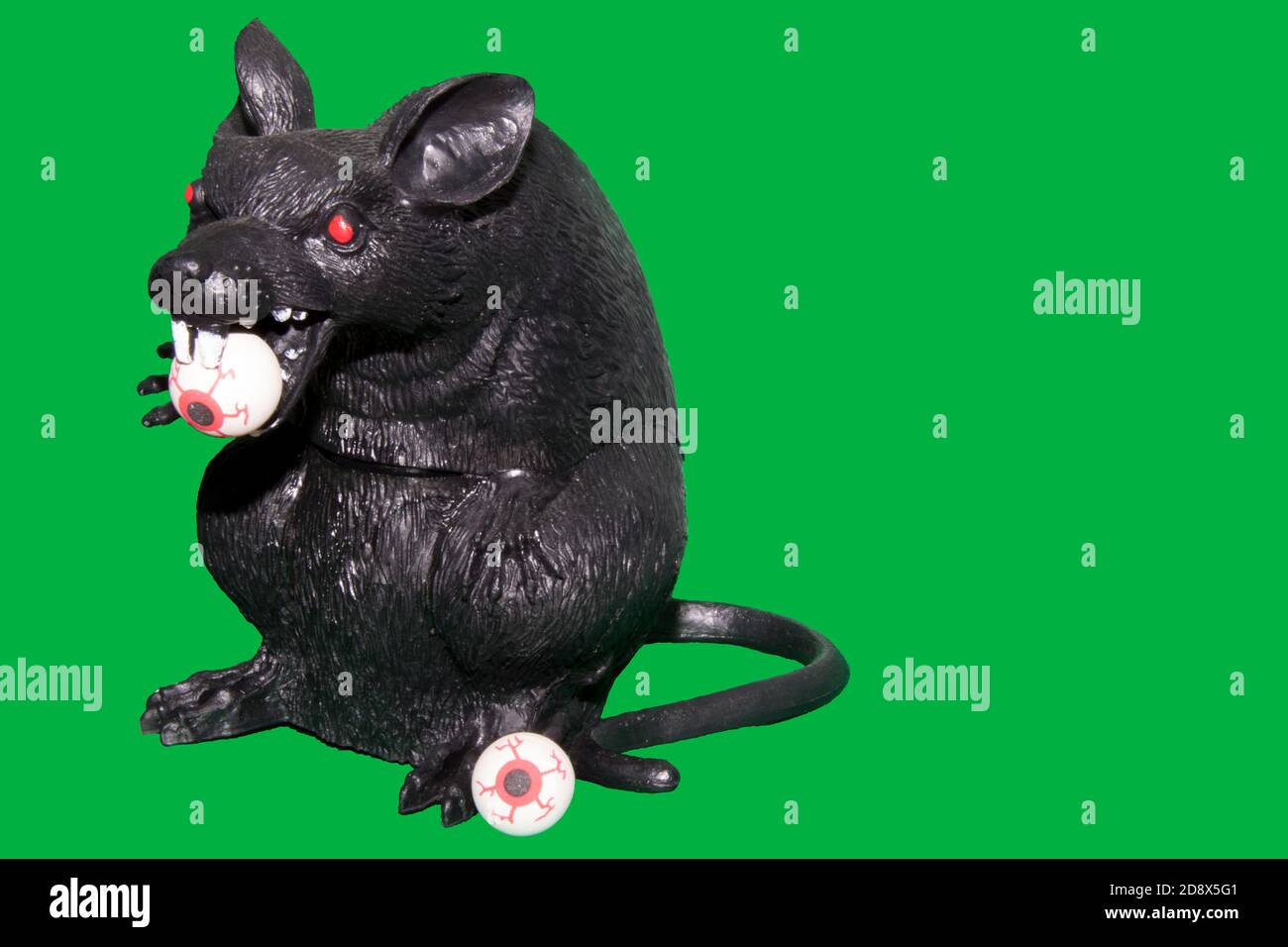 A fake plastic rat with red eyes with a green screen background with a ...