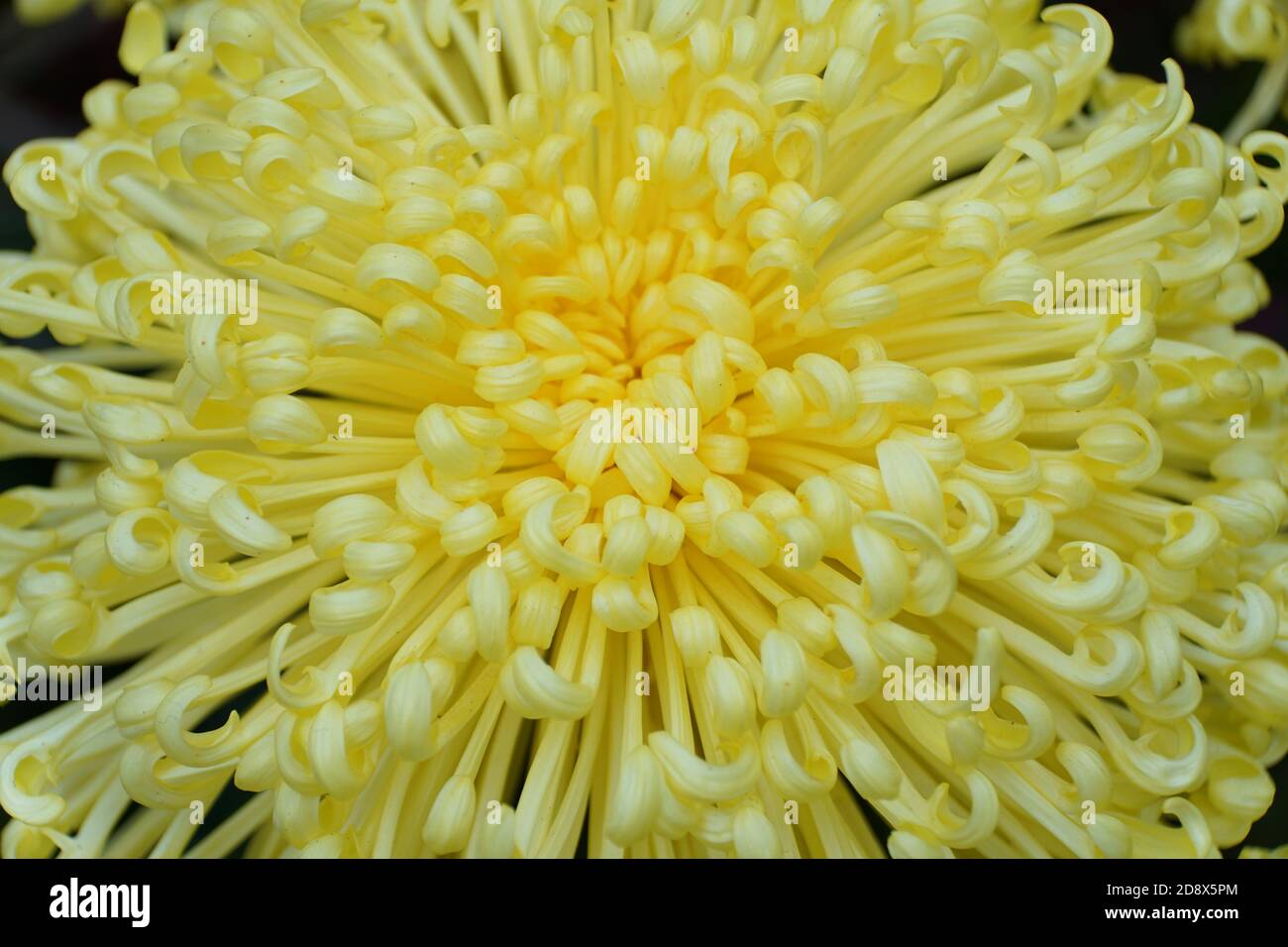 Splendour Light High Resolution Stock Photography and Images - Alamy