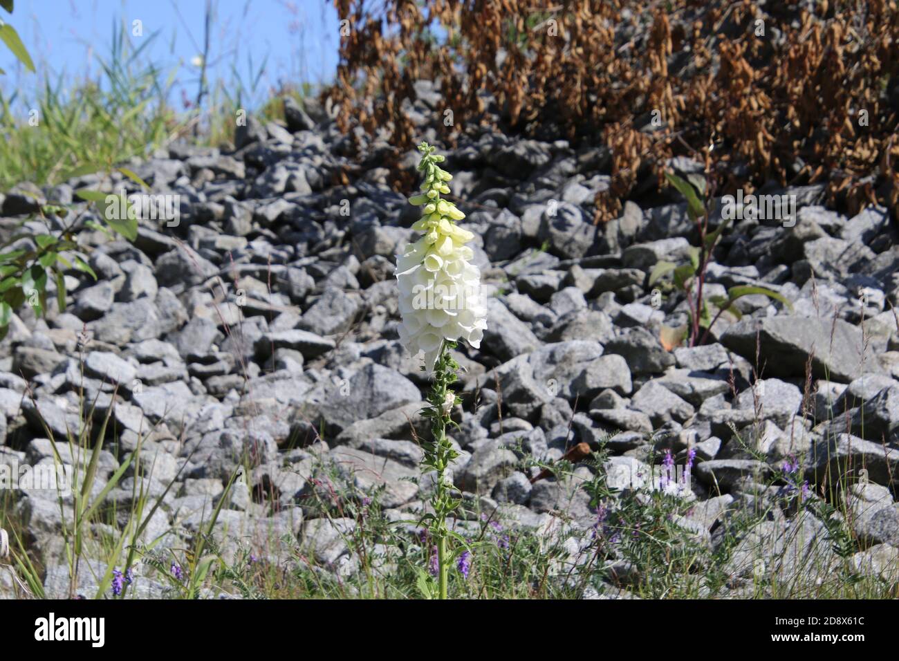 Bell shaped stone hi-res stock photography and images - Alamy